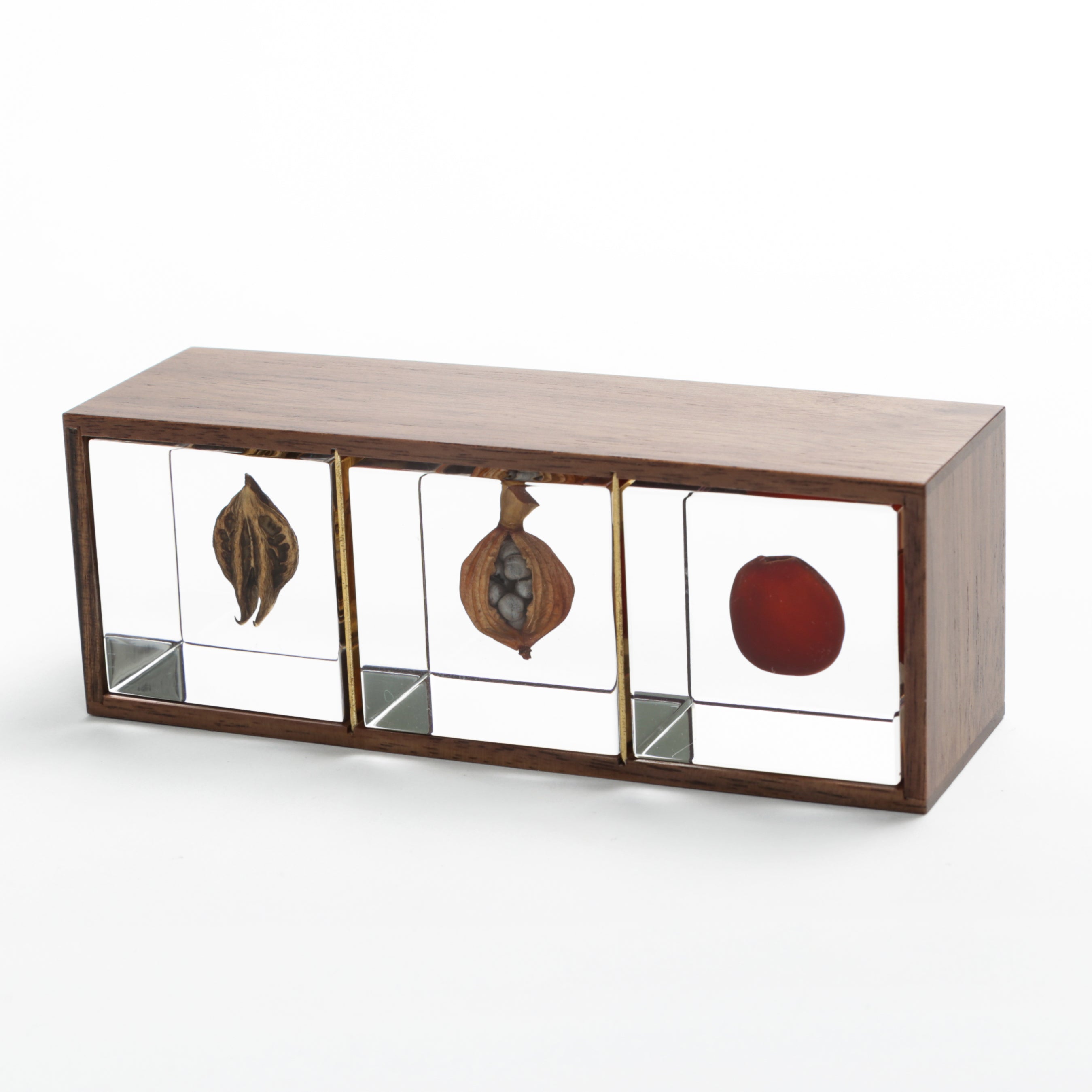 Sola Cube Display Box | Canoe