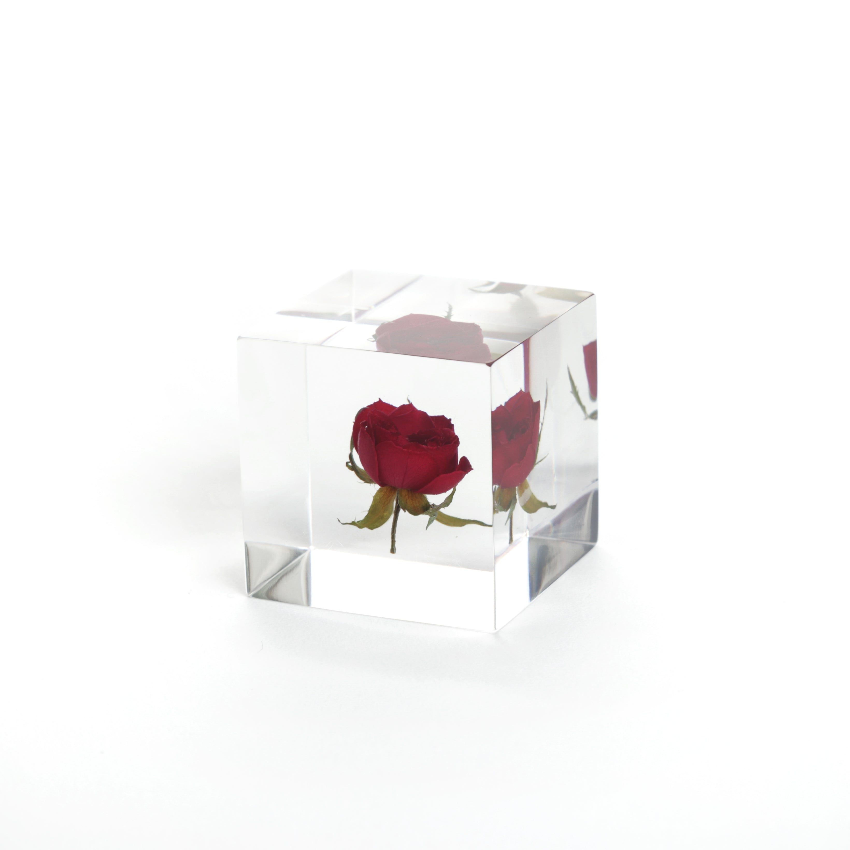 Sola Cubes - Rose – Canoe