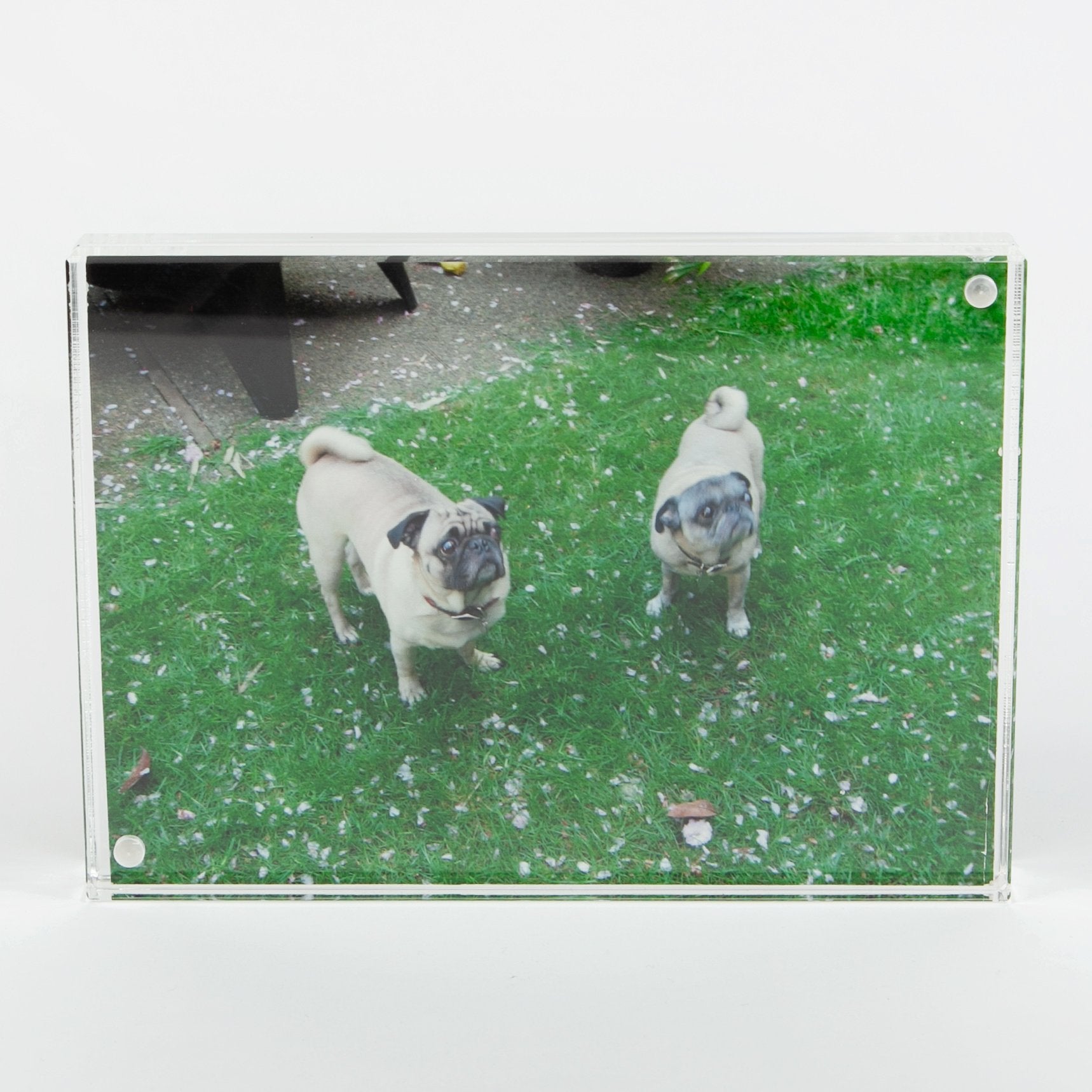 Canetti Magnetic Frames - 5 x 7 – Canoe