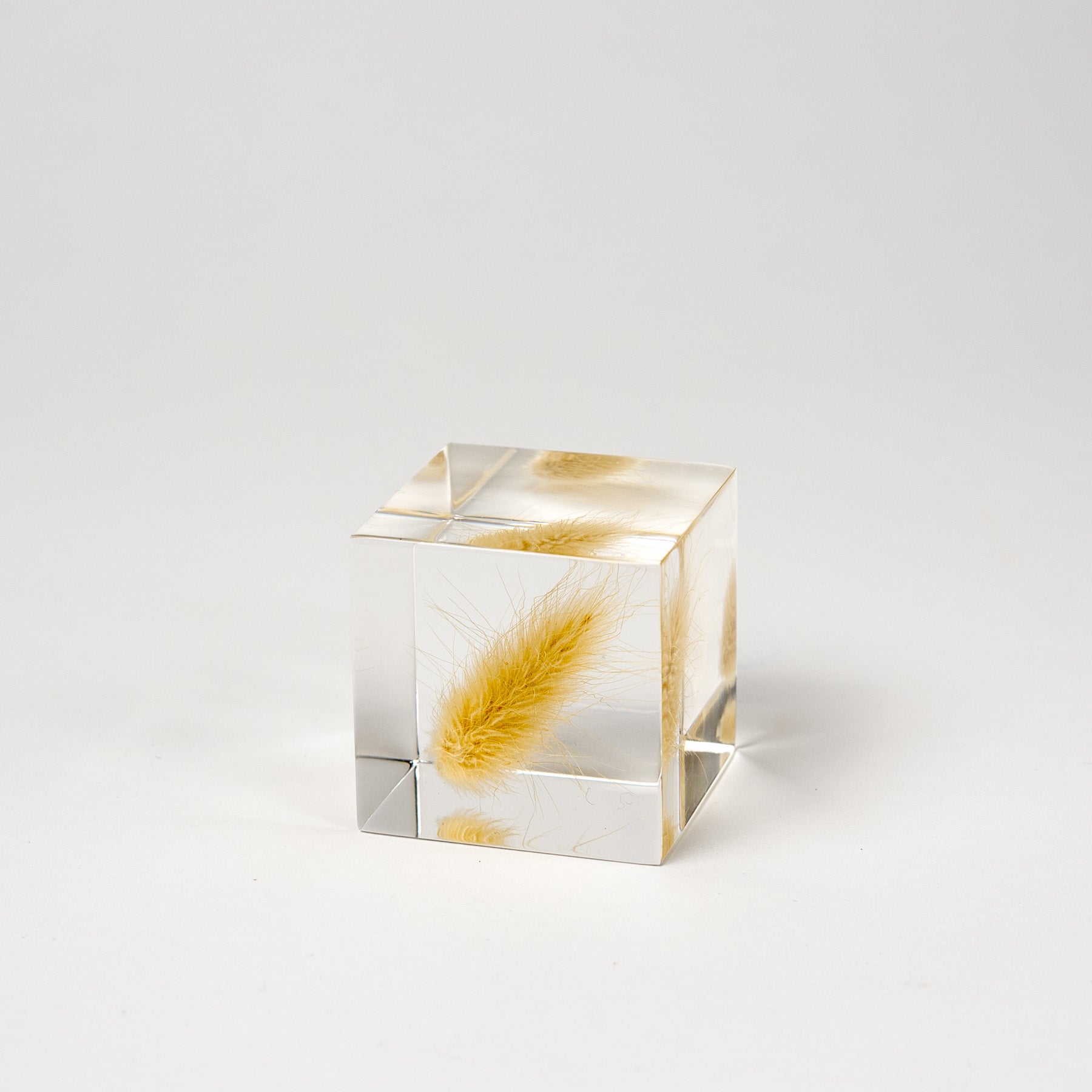 Sola Cubes - Botanicals | Canoe